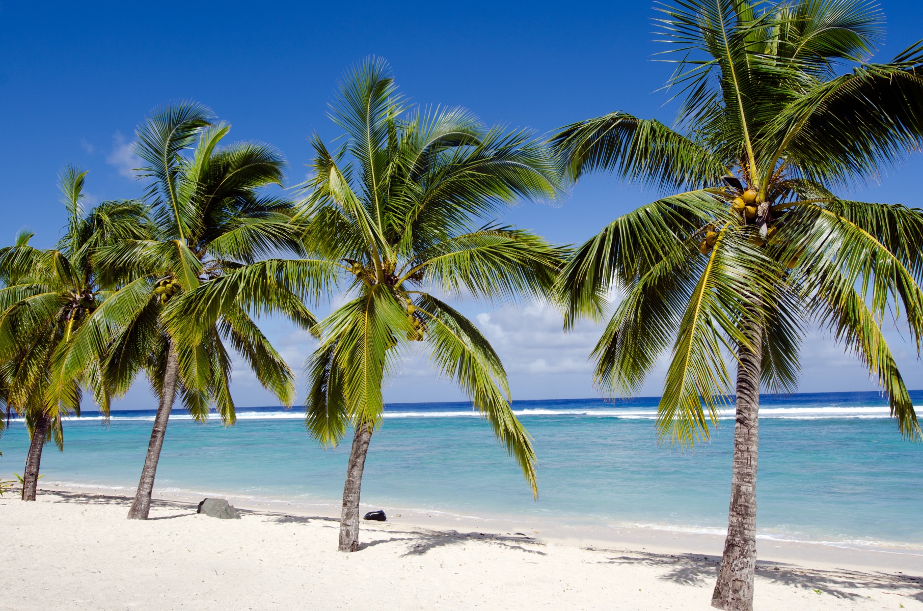 Top 15 Cook Islands Facts You Need to Know | Entire Travel